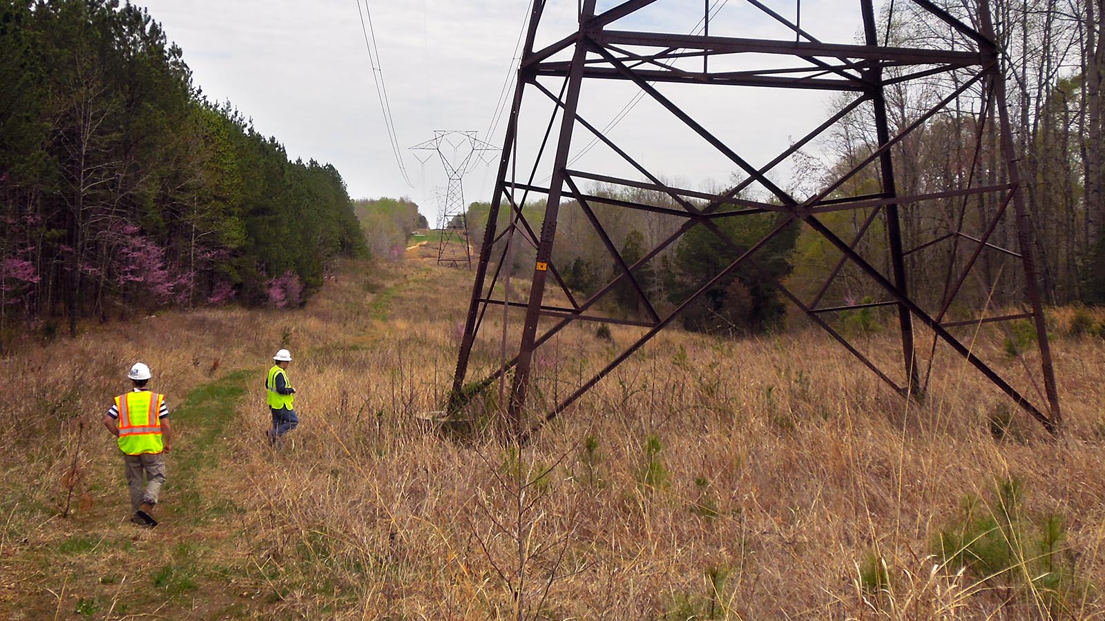 500kV Southeast Transmission Line - GAI Consultants