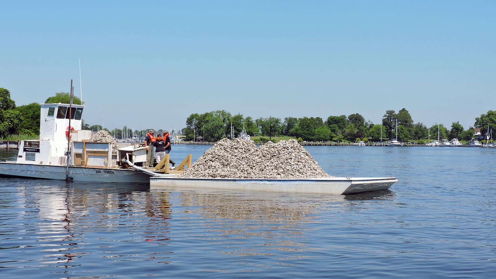 Dominion Cove Point: Oyster Mitigation Program - GAI Consultants
